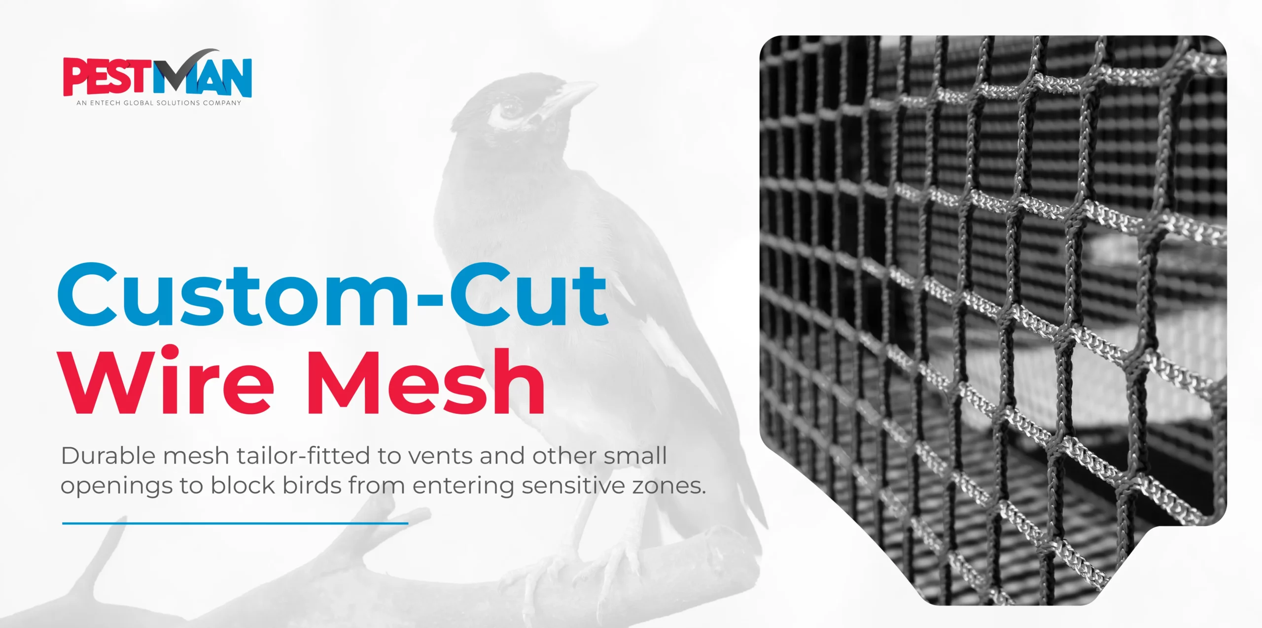 4 Reliable Bird Control Solutions for Manufacturing Facilities And ...